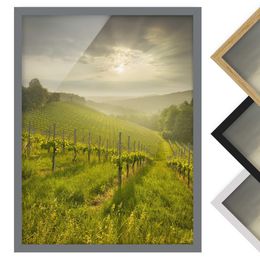 Bilderwelten Bild mit Rahmen - Hochformat Sonnenstrahlen Weinberg
