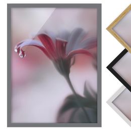 Bilderwelten Bild mit Rahmen - Hochformat Invisible Touch