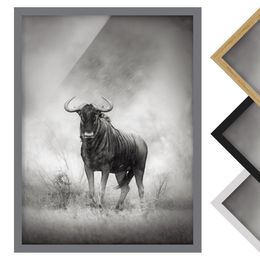 Bilderwelten Bild mit Rahmen - Hochformat Staring Wildebeest