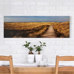 Bilderwelten Leinwandbild - Panorama D&uuml;nenweg auf Sylt