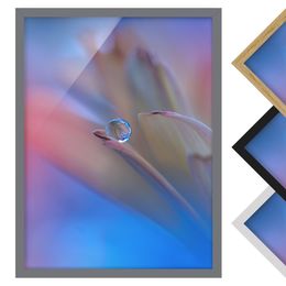 Bilderwelten Bild mit Rahmen - Hochformat Touch Me Softly
