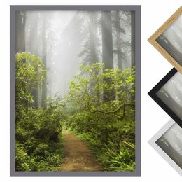 Bilderwelten Bild mit Rahmen - Hochformat Nebliger Waldpfad