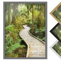 Bilderwelten Bild mit Rahmen - Hochformat Pfad im Urwald