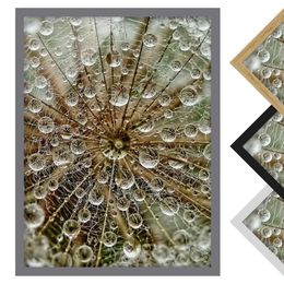 Bilderwelten Bild mit Rahmen - Hochformat Pusteblume im Herbst