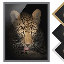 Bilderwelten Bild mit Rahmen - Hochformat Resting Leopard