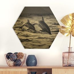 Bilderwelten Hexagon-Alu-Dibond Bild Zwei springende Delfine