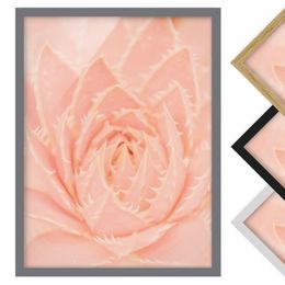 Bilderwelten Bild mit Rahmen - Hochformat Rosa Bl&uuml;tenzauber Agave