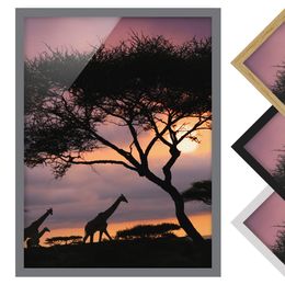 Bilderwelten Bild mit Rahmen - Hochformat Safari in Afrika