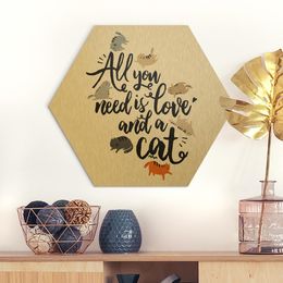 Bilderwelten Hexagon-Alu-Dibond Bild All you need is love and a cat