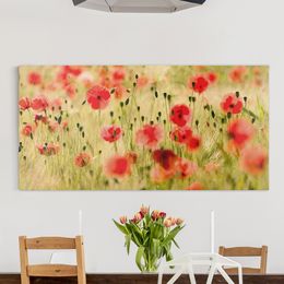 Bilderwelten Leinwandbild - Querformat Summer Poppies