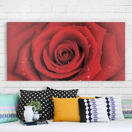 Bilderwelten Leinwandbild - Querformat Rote Rose mit Wassertropfen