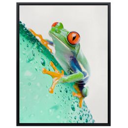 Bilderwelten Leinwandbild - Hochformat Frog