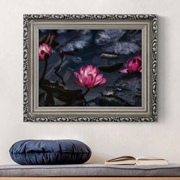 Bilderwelten Bild mit Barockrahmen Antik Blumen Tropisch Barock schwarz - Wasserlilien - Pflanzen Wohnzimmer Schlafzimmer