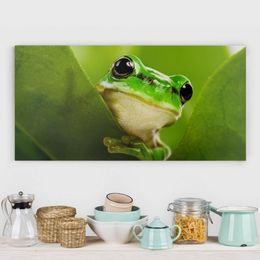 Bilderwelten Leinwandbild - Querformat Wetterfrosch