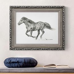 Bilderwelten Bild mit Barockrahmen Antik Tiere Illustration Barock weiss - Wildpferd-Studie - Stute - Pferde Kinderzimmer Baby M&auml;dchen Jungen