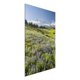 Bilderwelten Alu-Dibond Outdoor Bild Bergwiese mit roten Blumen vor Mt. Rainier