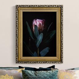 Bilderwelten Bild mit Barockrahmen Antik Blumen Motiv Barock schwarz - Protea Portrait - edle Optik Wohnzimmer Schlafzimmer