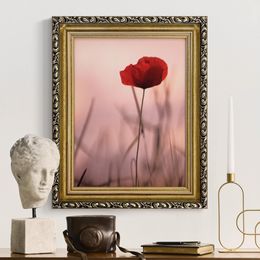 Bilderwelten Leinwandbild mit Barockrahmen Mohnbl&uuml;te in der D&auml;mmerung