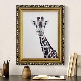 Bilderwelten Bild mit Barockrahmen Antik Tiere Motiv Barock schwarz weiss - Giraffen Portrait in Schwarz-wei&szlig; - Giraffen Wohnzimmer Schlafzimmer