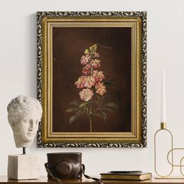 Bilderwelten Bild mit Barockrahmen Antik Blumen modern Barock braun - Barbara Regina Dietzsch - Eine rosa Garten-Levkkoje - edle Optik Wohnzimmer Schlafzimmer