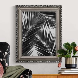 Bilderwelten Bild mit Barockrahmen Antik Tropisch Barock schwarz weiss - Blick durch Palmenbl&auml;tter schwarz wei&szlig; - edle Optik Wohnzimmer Schlafzimmer