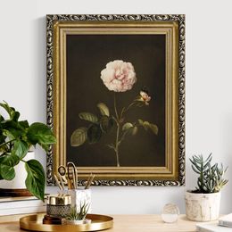 Bilderwelten Bild mit Barockrahmen Antik Blumen modern Barock braun - Barbara Regina Dietzsch - Essig-Rose mit Hummel - Rose Wohnzimmer Schlafzimmer