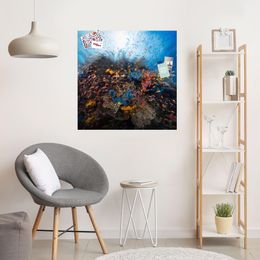 Bilderwelten Glasbild Tiere Motiv einzigartig Glas Wandbild - Lagune mit Fischen - Landschaft Wohnzimmer Schlafzimmer