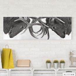 Bilderwelten Leinwandbild - Panorama Von Auge zu Auge