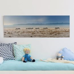 Bilderwelten Leinwandbild - Panorama Zebra Promenade