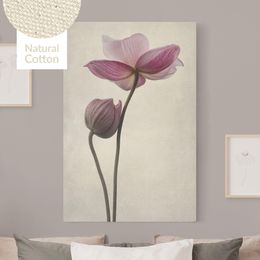 Bilderwelten Leinwandbild - Hochformat Anemonen in rosa