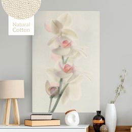 Bilderwelten Leinwandbild - Hochformat Zerbrechliche Orchidee