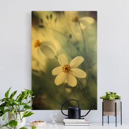 Bilderwelten Leinwandbild - Hochformat Kosmeen in Pastell