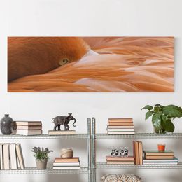 Bilderwelten Leinwandbild - Panorama Flamingofedern