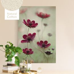 Bilderwelten Leinwandbild - Hochformat Pinke Kosmeen