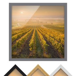 Bilderwelten Bild mit Rahmen - Quadrat Herbstliche Weinberge bei Wien