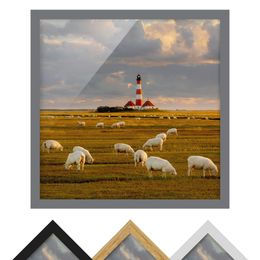 Bilderwelten Bild mit Rahmen - Quadrat Nordsee Leuchtturm mit Schafsherde