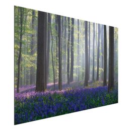 Bilderwelten Alu Dibond Outdoor Bild Blumen gr&uuml;n Motiv wetterfest - Fr&uuml;hlingstag im Wald - B&auml;ume Wohnzimmer Schlafzimmer