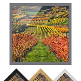Bilderwelten Bild mit Rahmen - Quadrat Weinberg Blick