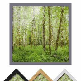 Bilderwelten Bild mit Rahmen - Quadrat Hoh Rainforest Olympic National Park