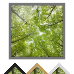 Bilderwelten Bild mit Rahmen - Quadrat Buchenwald am Lindkogel