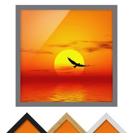 Bilderwelten Bild mit Rahmen - Quadrat Fabulous Sunset