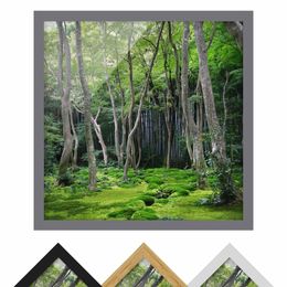 Bilderwelten Bild mit Rahmen - Quadrat Growing Trees