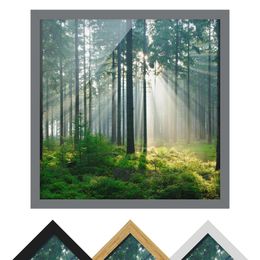 Bilderwelten Bild mit Rahmen - Quadrat Enlightened Forest