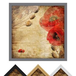 Bilderwelten Bild mit Rahmen - Quadrat Poppy Flower