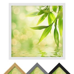 Bilderwelten Bild mit Rahmen - Quadrat Green Ambiance I