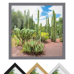 Bilderwelten Bild mit Rahmen - Quadrat Kakteen Landschaft