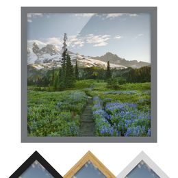 Bilderwelten Bild mit Rahmen - Quadrat Bergblick Wiesenpfad