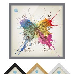 Bilderwelten Bild mit Rahmen - Quadrat Aquarell Schmetterling