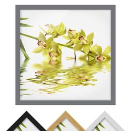 Bilderwelten Bild mit Rahmen - Quadrat Elegant Orchid Waters