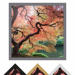 Bilderwelten Bild mit Rahmen - Quadrat Japanischer Garten